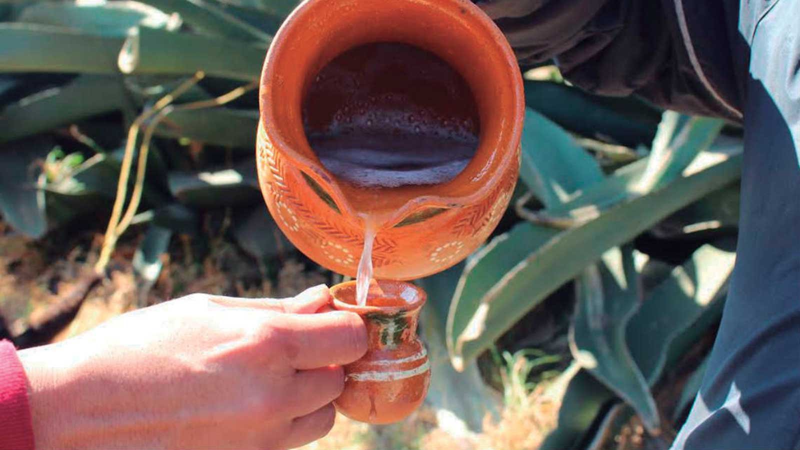 "El Pulque De Nanacamilpa: Tradición Y Sabor Ancestral"2024